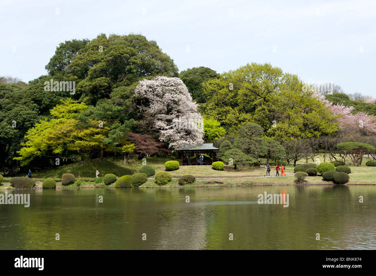 Shinjuku Gyoen, Tokyo, Japan Stock Photo - Alamy