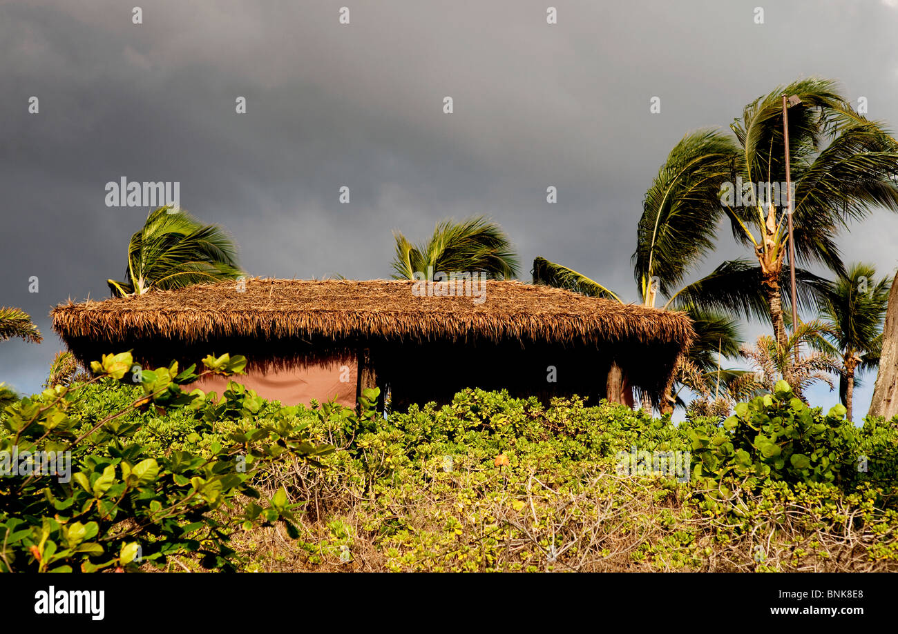 Island hut under the sun Stock Photo - Alamy