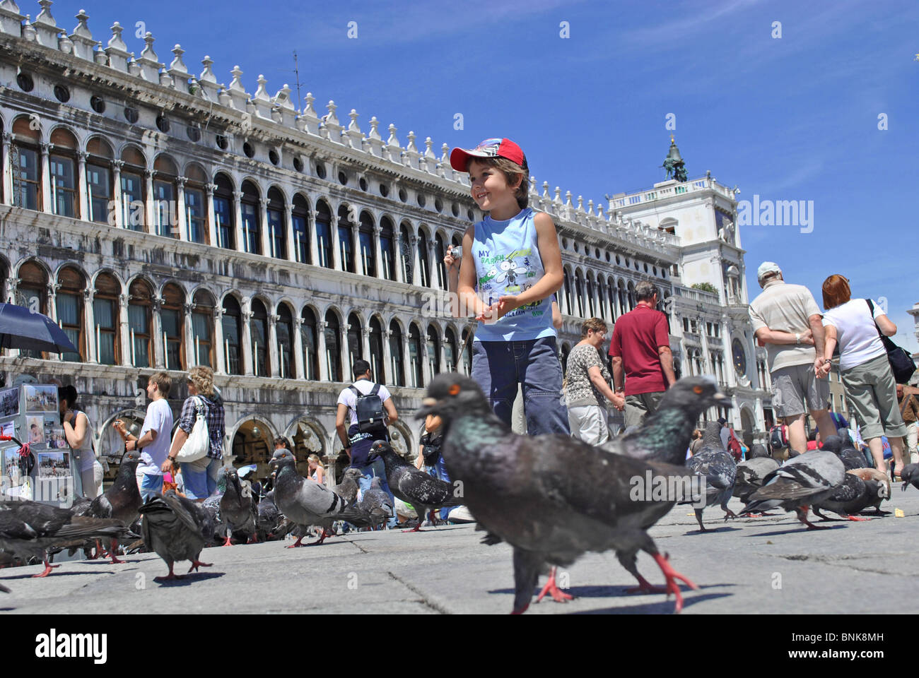 Pigeons and tourists in St Mark's Square, Venice, italy Stock Photo - Alamy