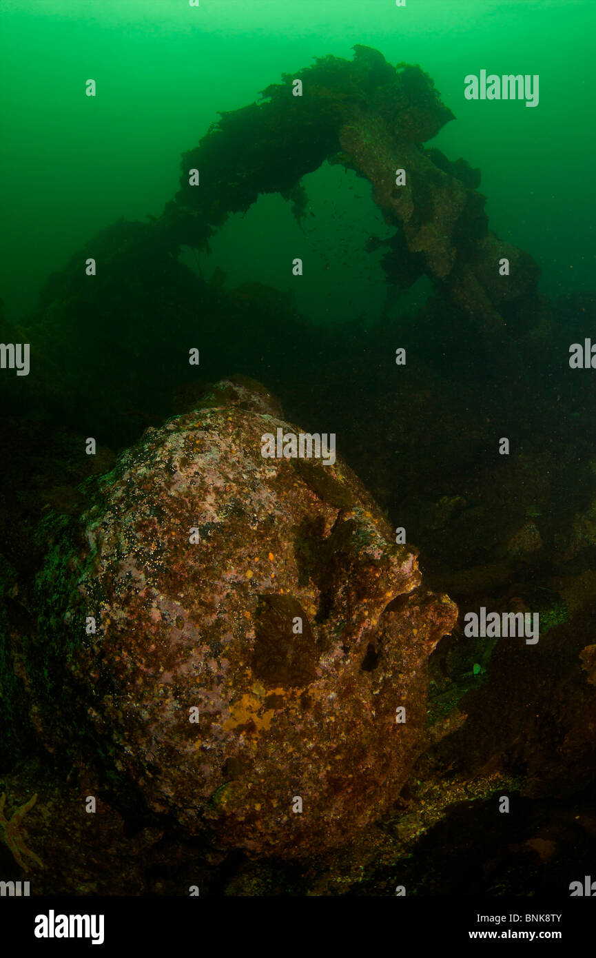 Vancouver Island British Columbia Canada diving in Port Hardy Stock ...