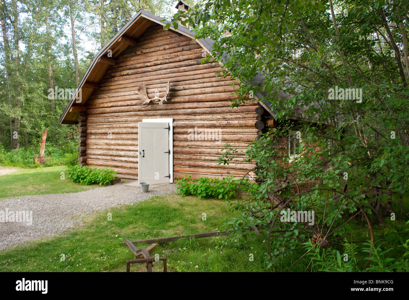 Buried in the woods hi-res stock photography and images - Alamy