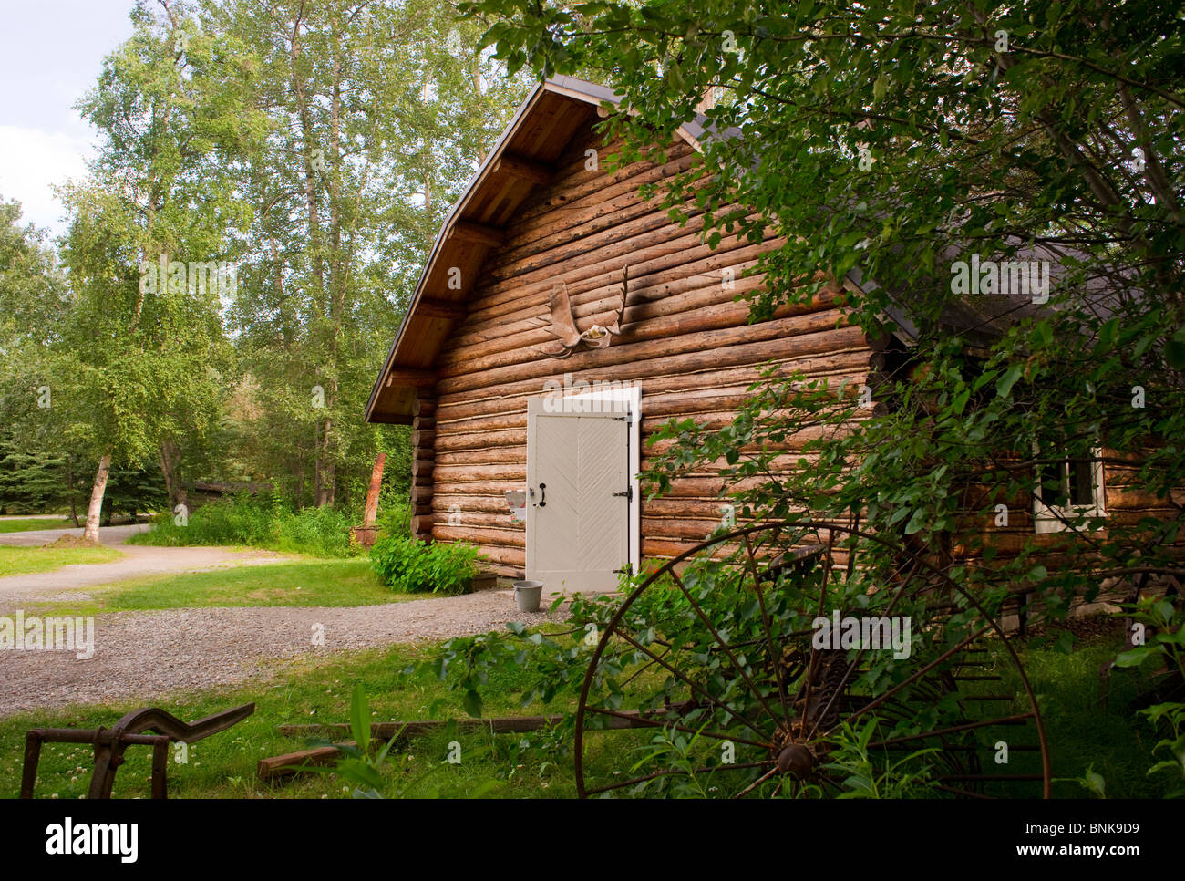 Buried in the woods hi-res stock photography and images - Alamy