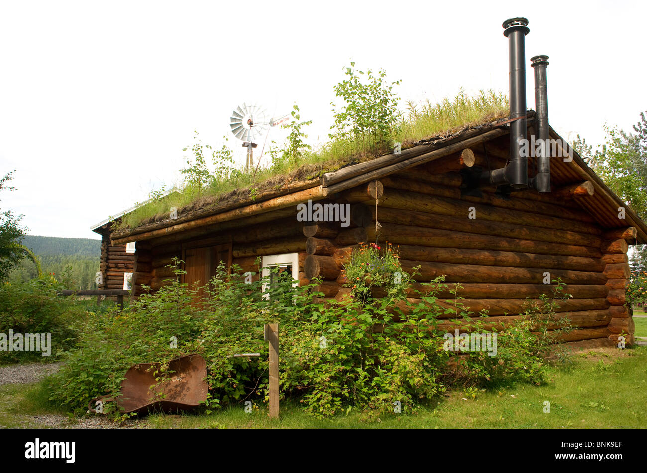 House covered with plants hi-res stock photography and images - Alamy