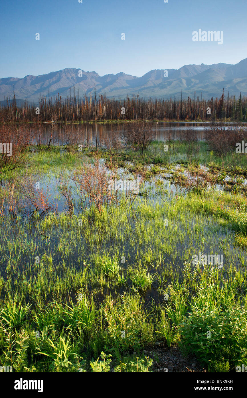 Alaska west hi-res stock photography and images - Alamy