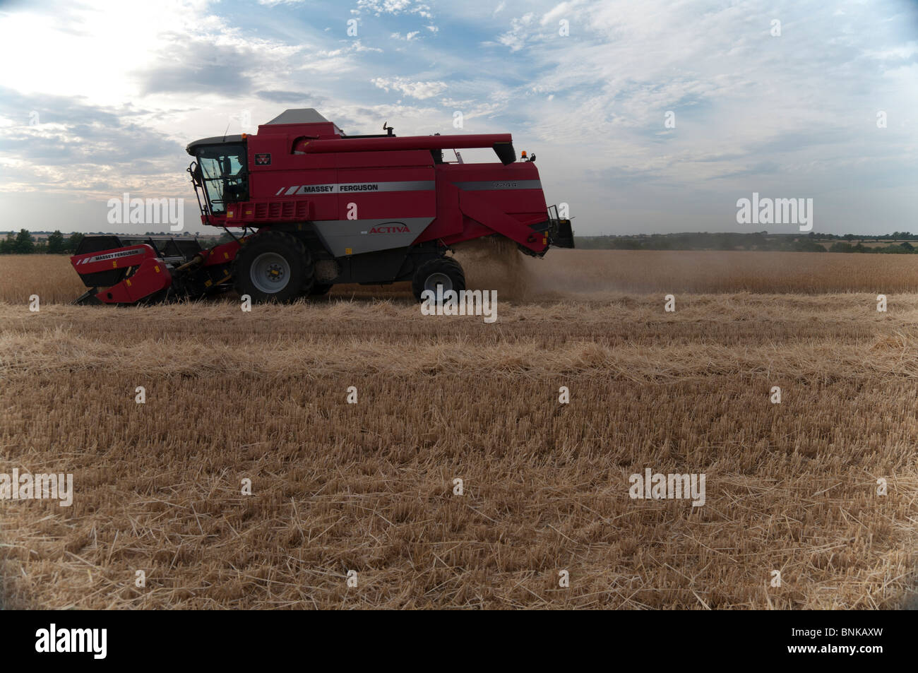 Combine harvester harvesting barley at great Bardfield Braintree Essex ...