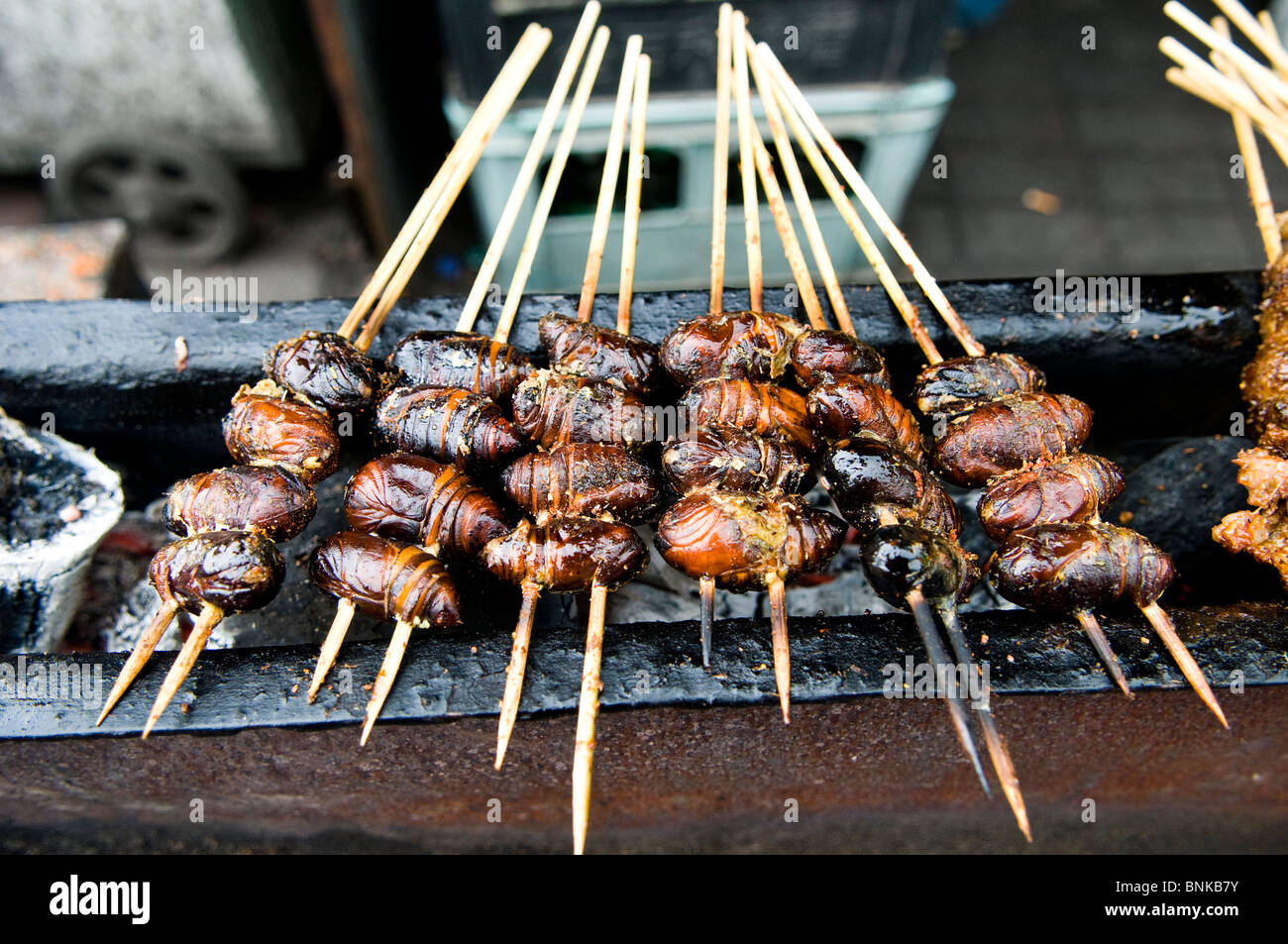 China insect food hi-res stock photography and images - Alamy