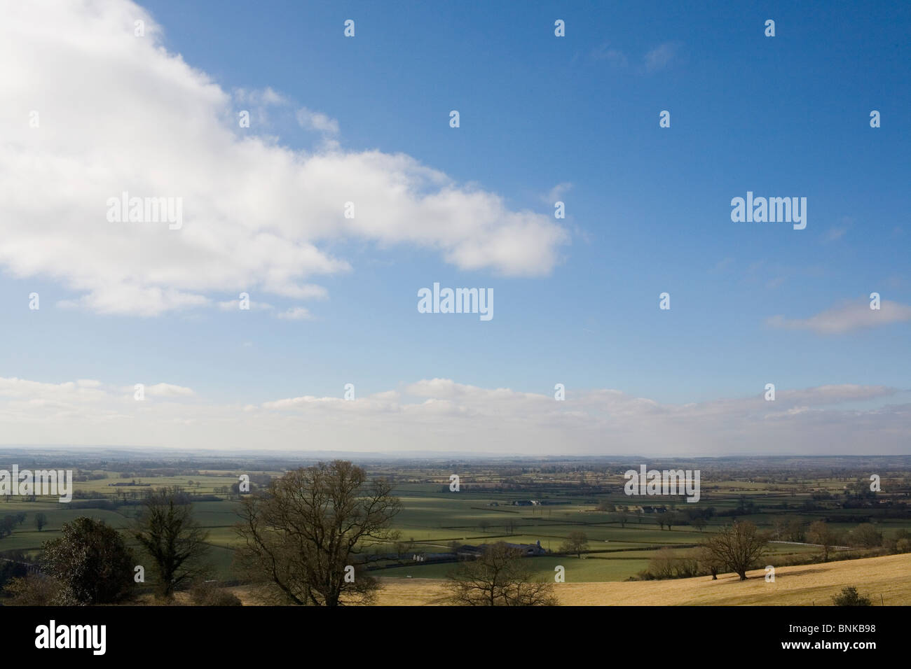A Somerset landscape on a summers day in the English countryside Stock ...