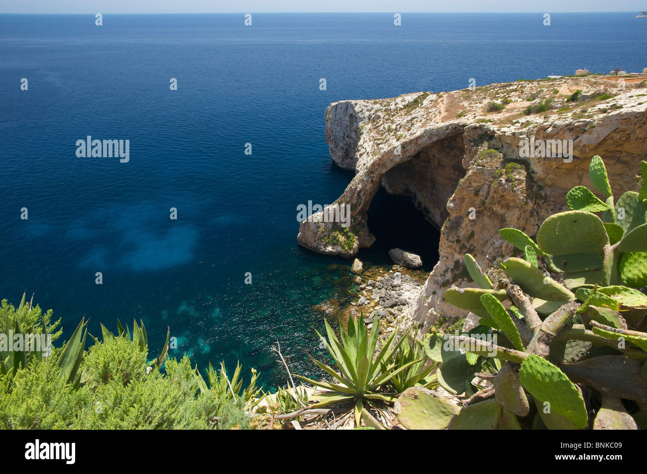 Malta the Blue Grotto coast seashore sea coasts seashore sea coastal ...