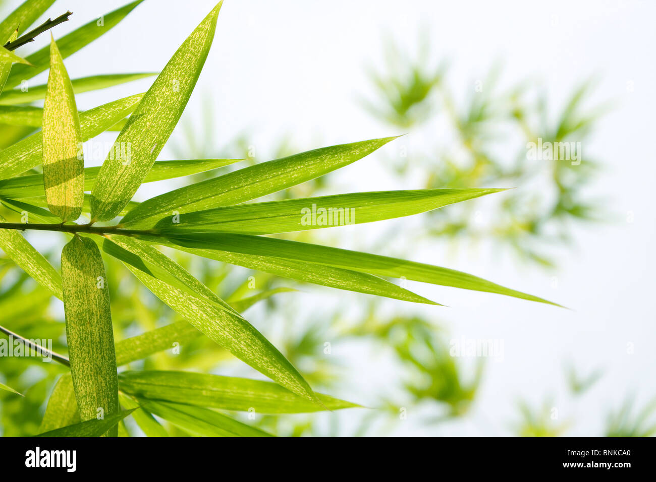 Close to chinese border hi-res stock photography and images - Alamy
