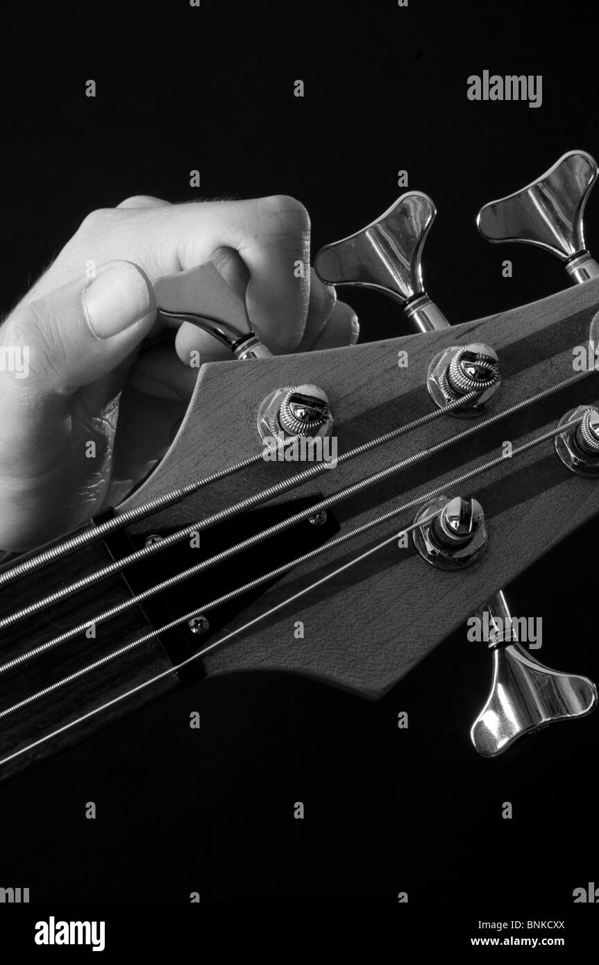 Bass Guitar Line Bassline Guitars String Strings Player Play Playing