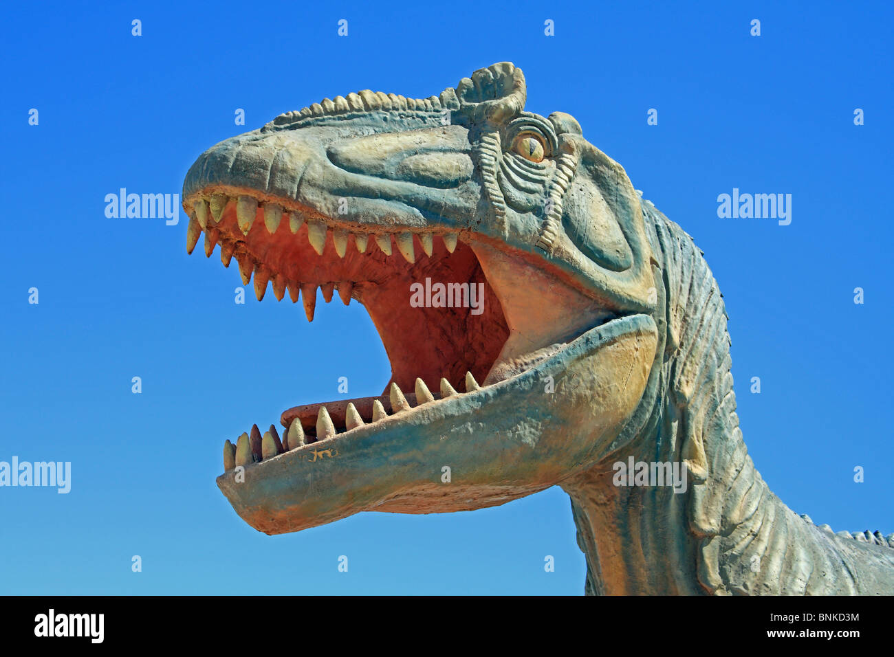 Life size tyrannosaurus rex model hi-res stock photography and images ...