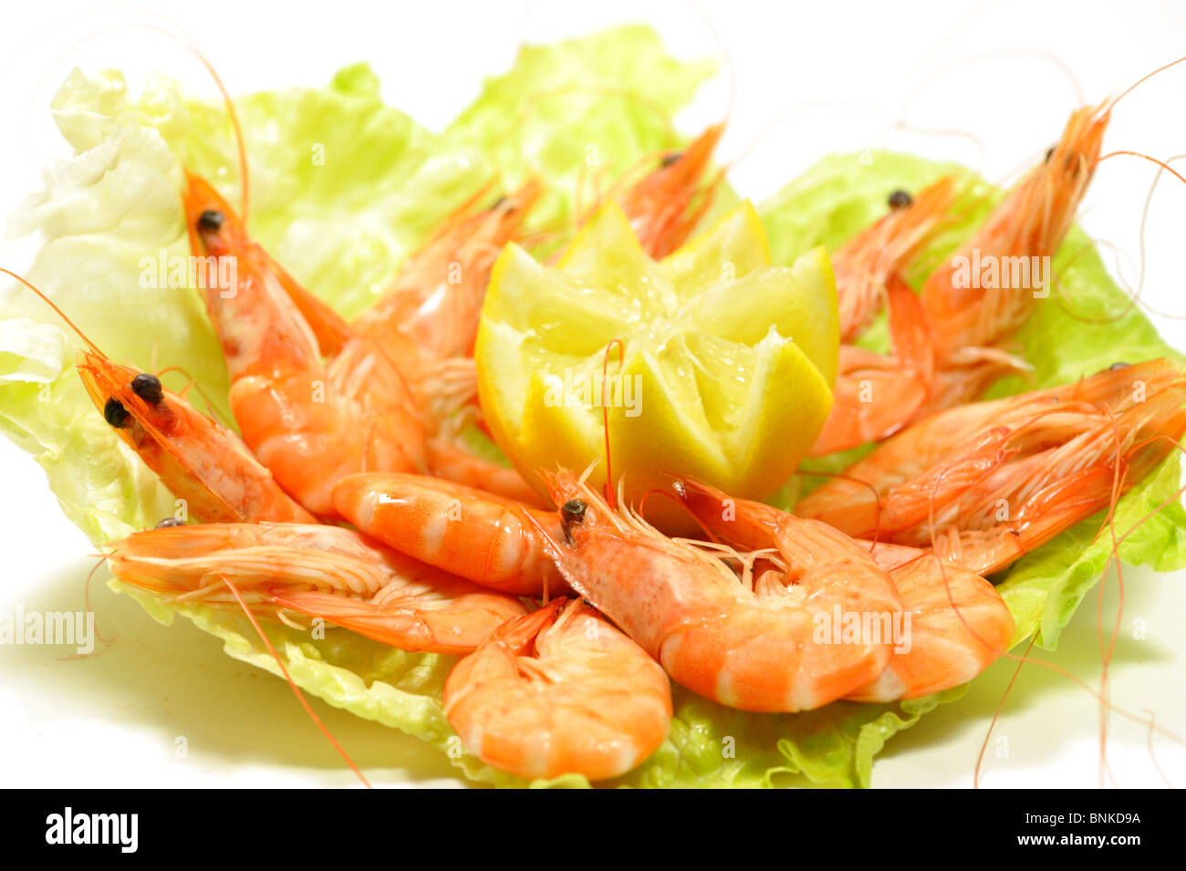 High key image of prawns resting on a bed of lettuce with a lemon ...