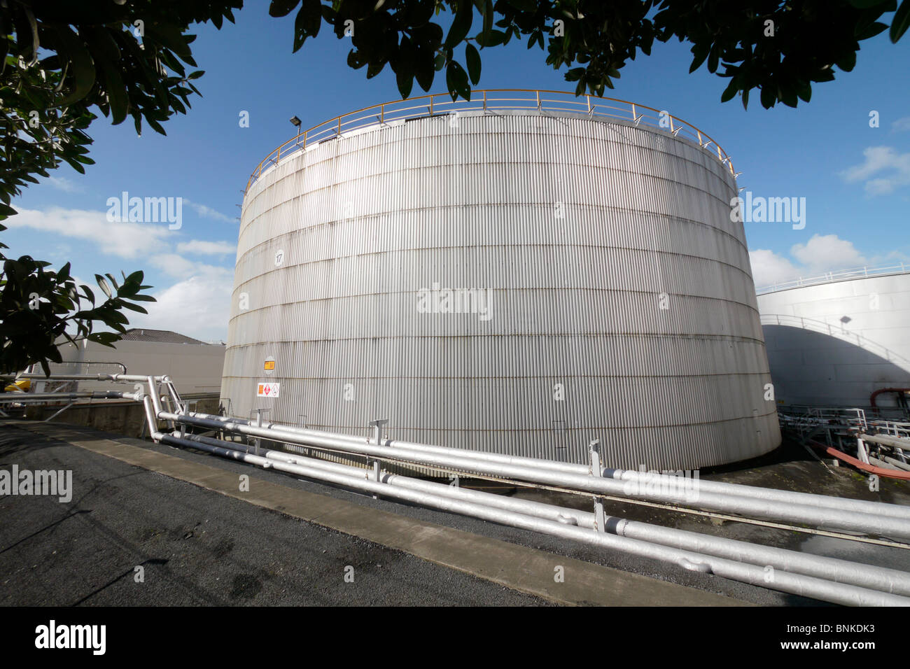 Aucklands landmark sky tower hi-res stock photography and images - Alamy