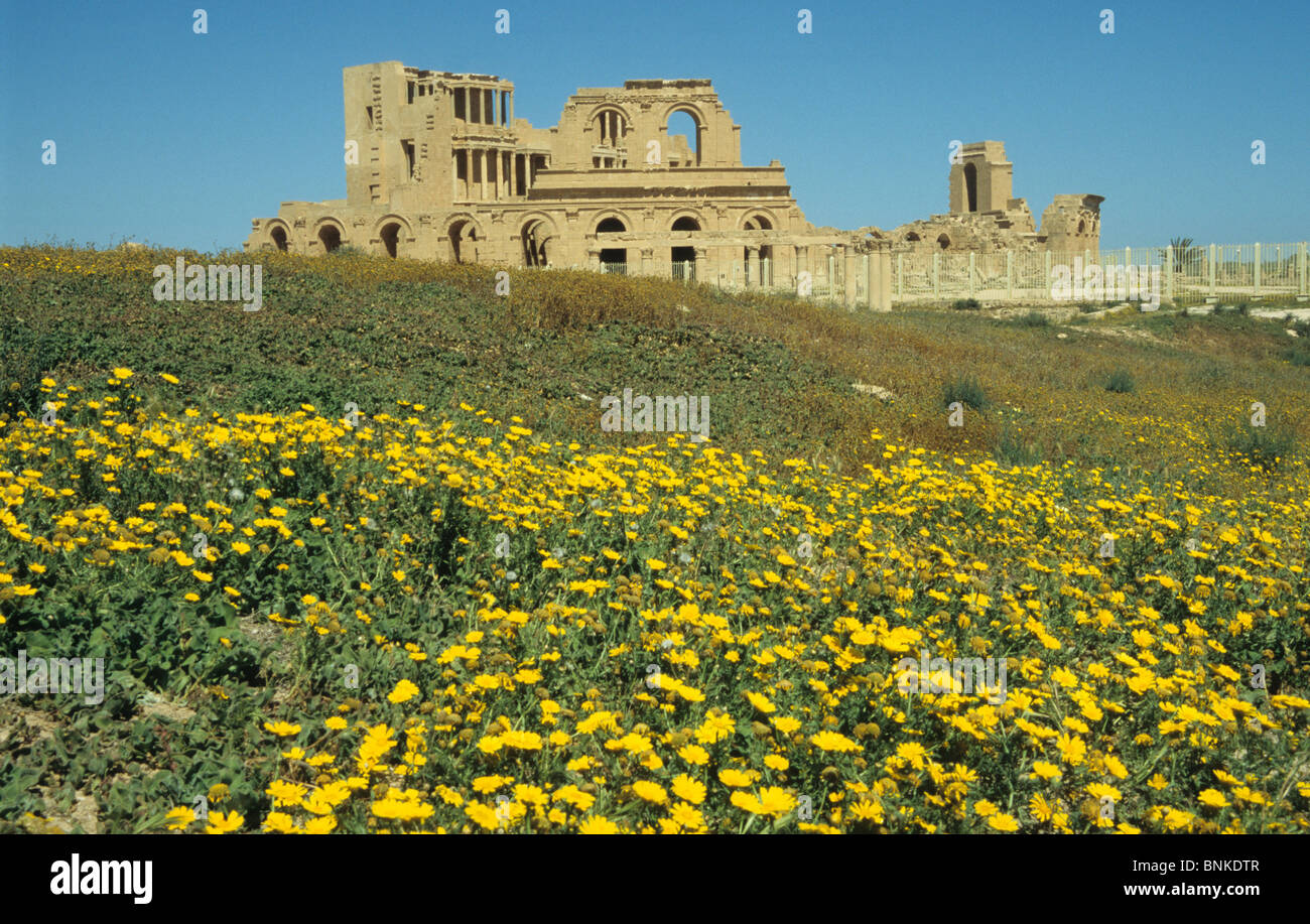 Flowers in front of the late 3rd century roman theater, Sabratha, Libya ...
