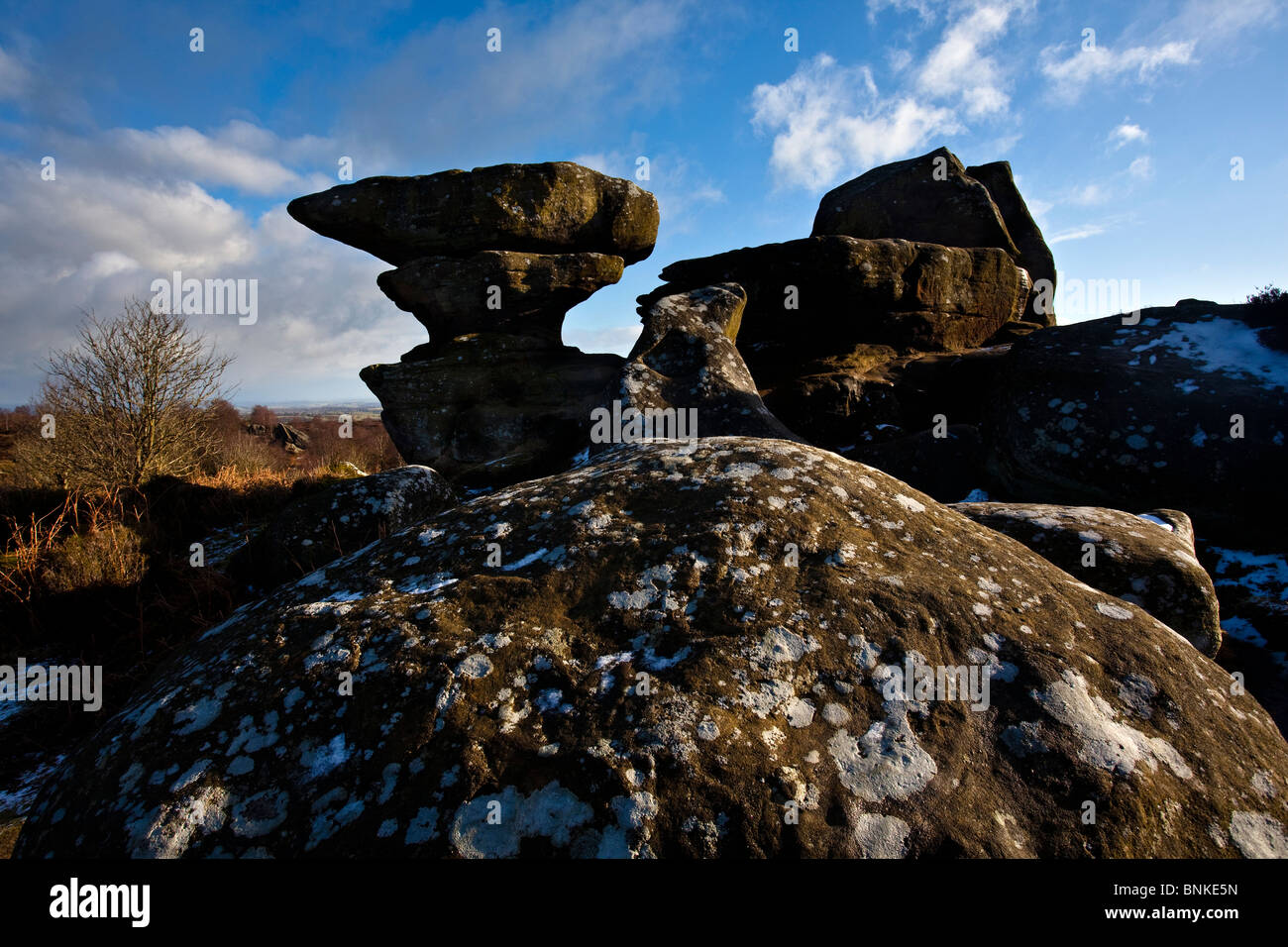Brimham Rocks between Ripon and Pateley Bridge North Yorkshire Stock ...