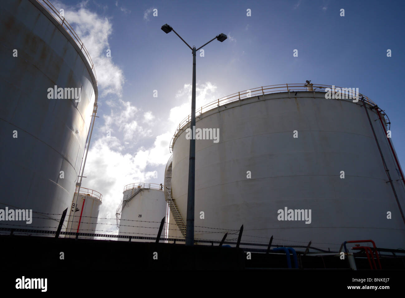 Aucklands landmark sky tower hi-res stock photography and images - Alamy