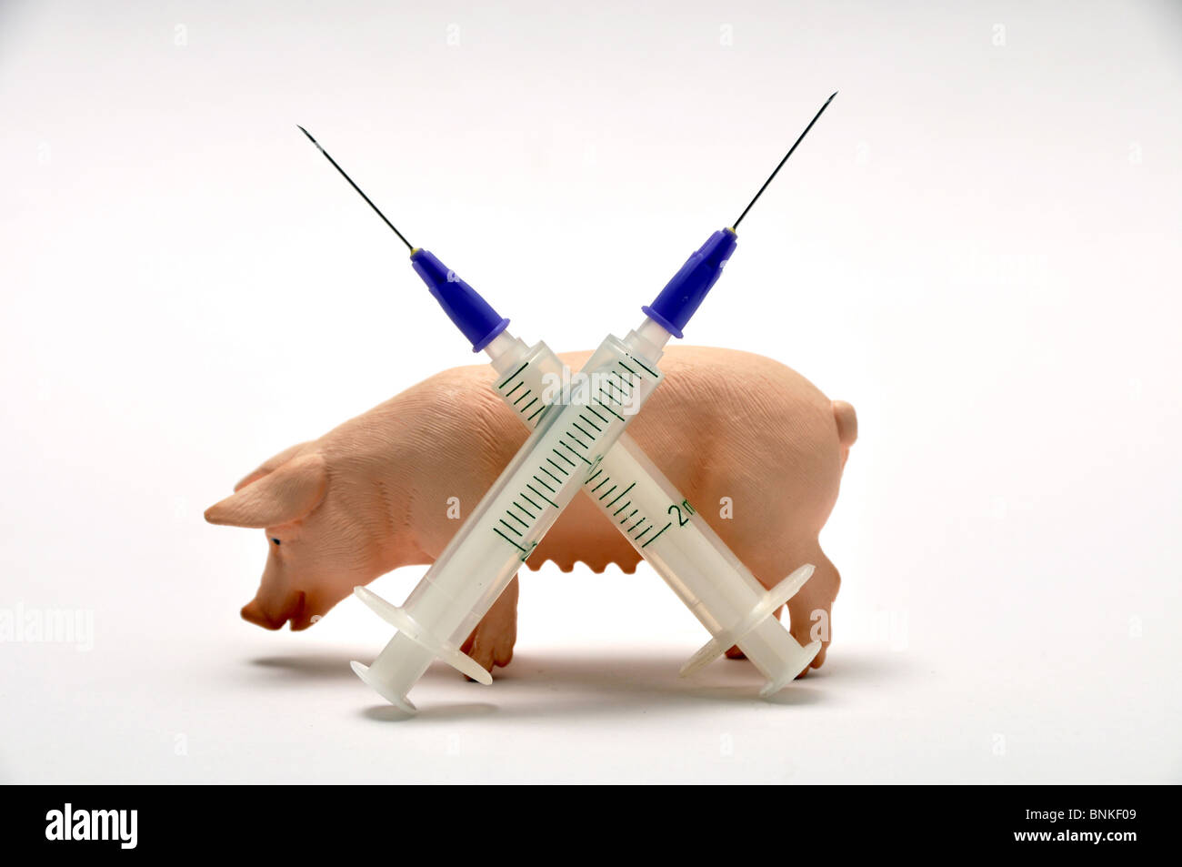 concepts pork influenza pig piglet pink pink help assistance ...