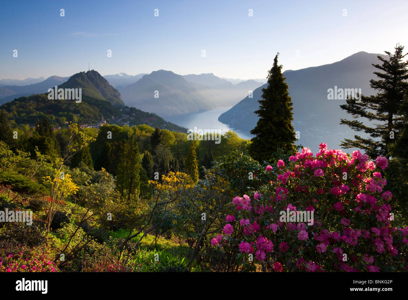 Carona Switzerland canton Ticino park rhododendron cypress lake Lago di ...