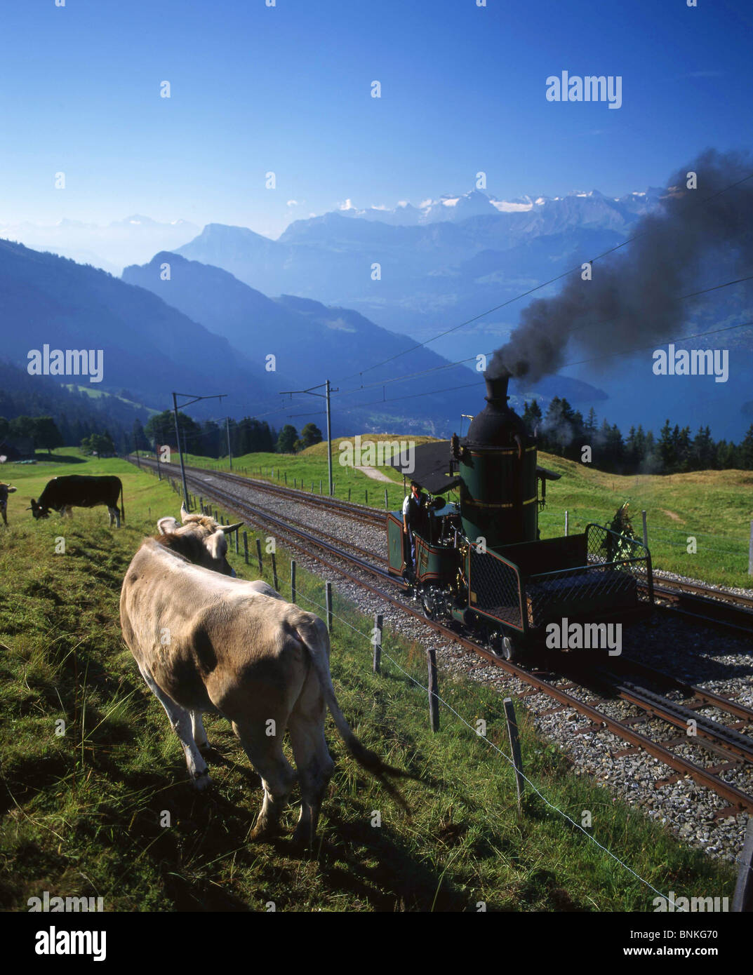 Switzerland Scenery Road Railway Steam Locomotive Train Railroad