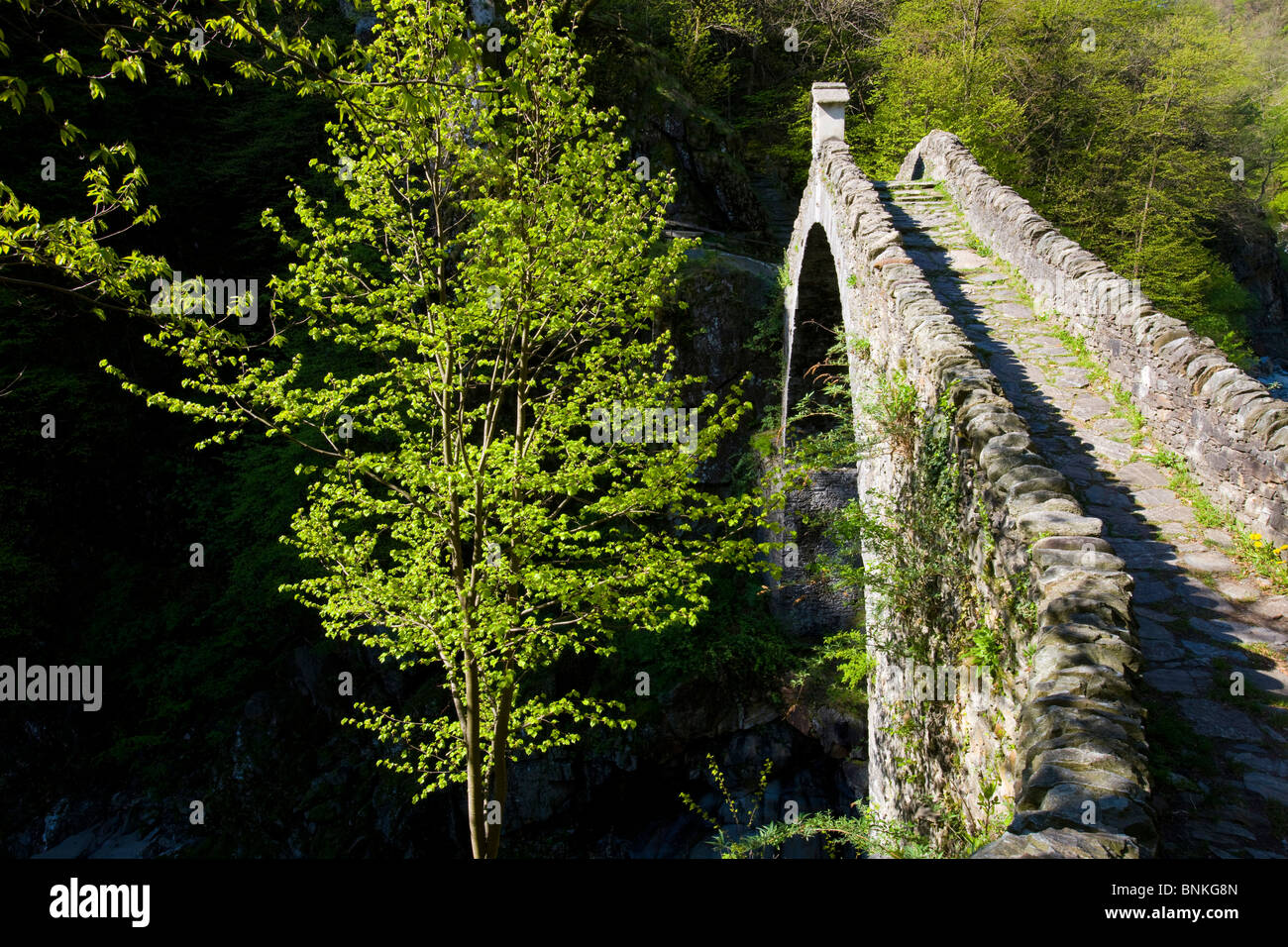 Intragna Switzerland canton Ticino Centovalli bridge stone bridge ...