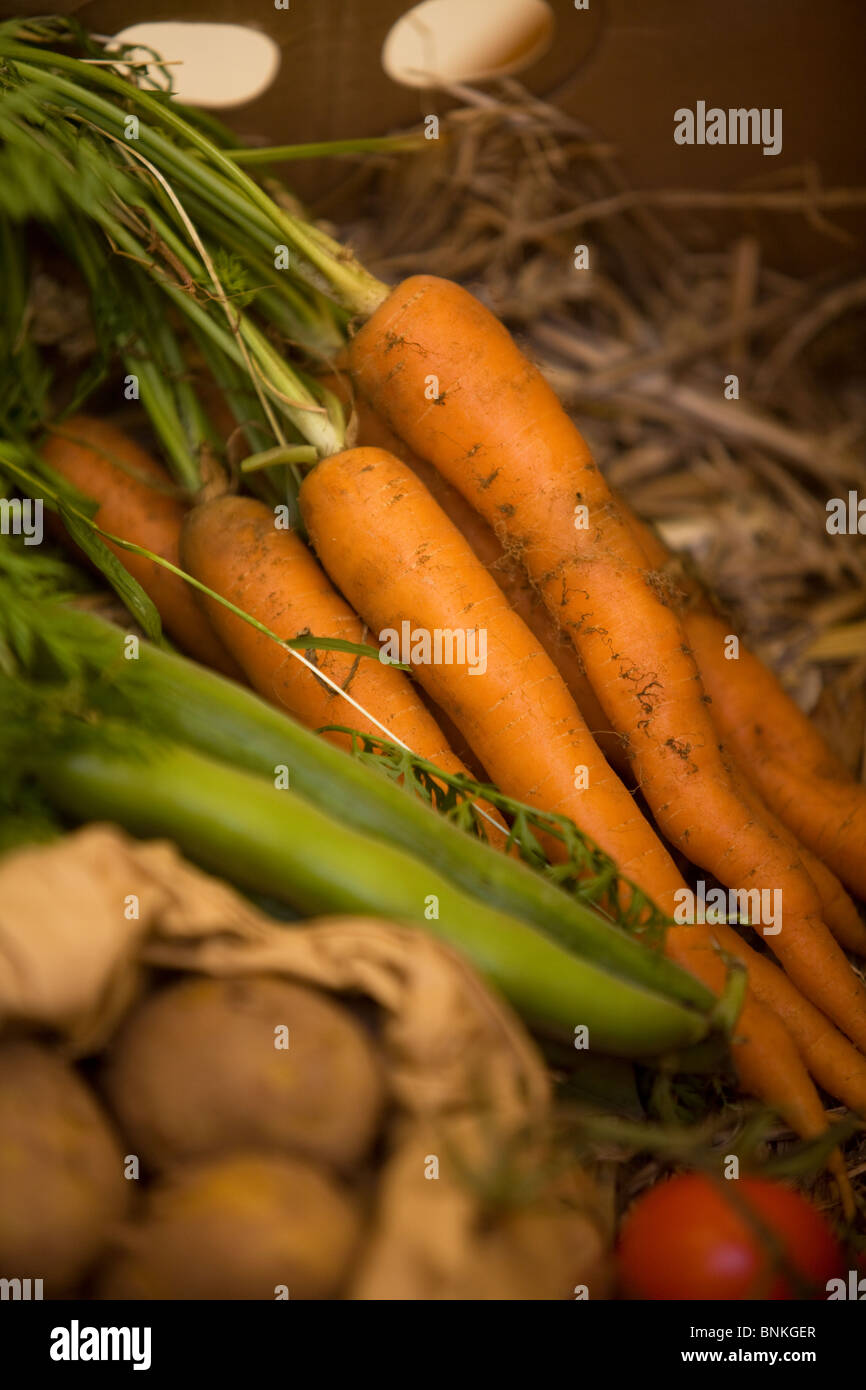Box of vegetables hi-res stock photography and images - Alamy