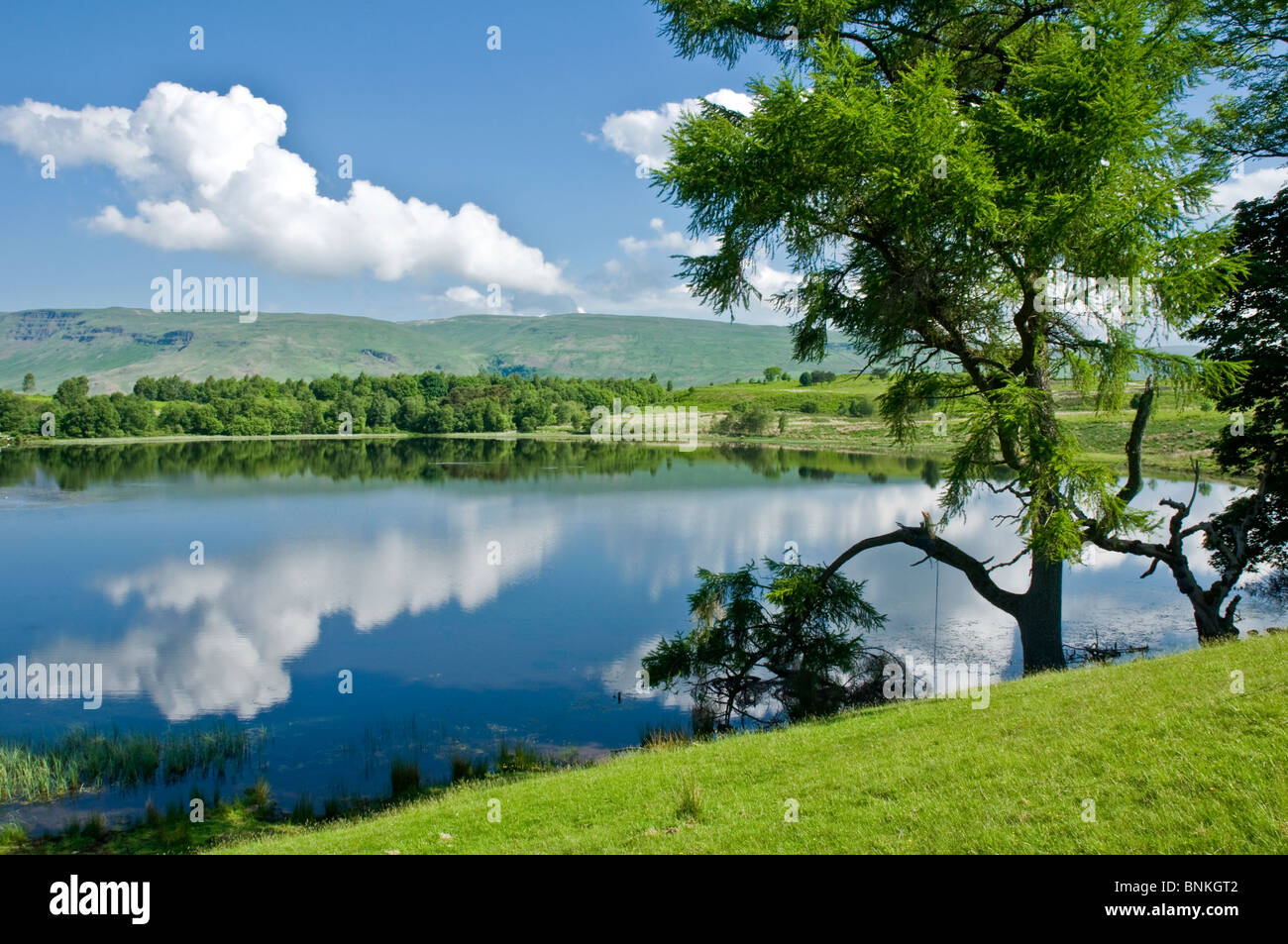 Loch Ardinning and Campsie Hills from nr Strathblane Stirling District ...