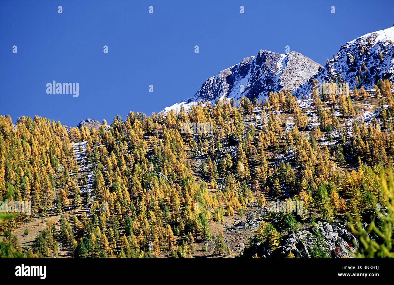 Acceglio hi-res stock photography and images - Alamy