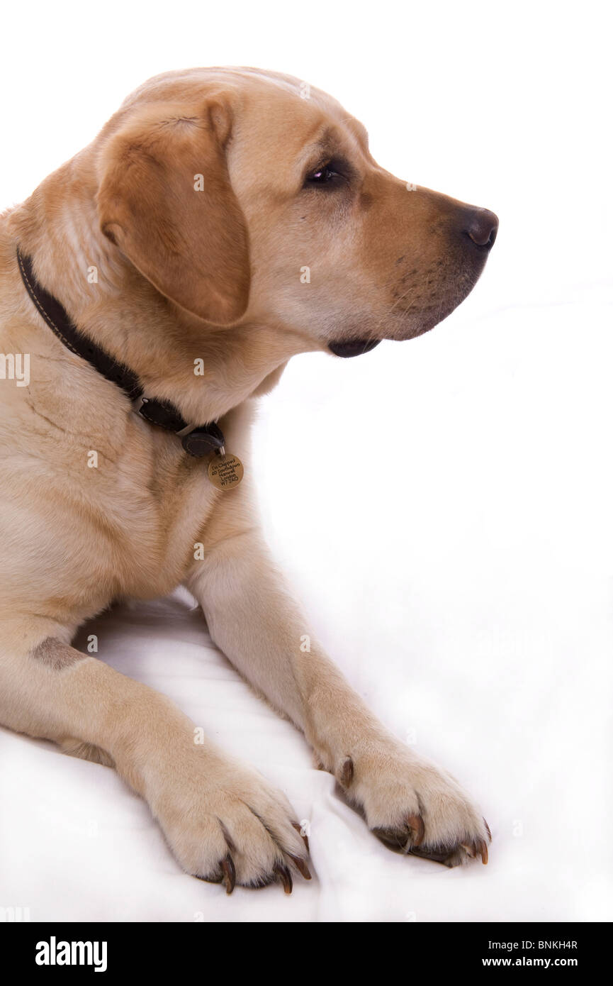 Studio high hi-res stock photography and images - Alamy