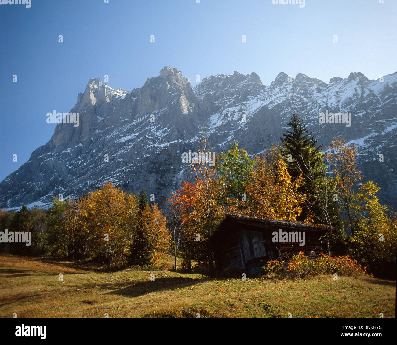 Switzerland scenery autumn Grindelwald trees hut alp hut canton Bern ...