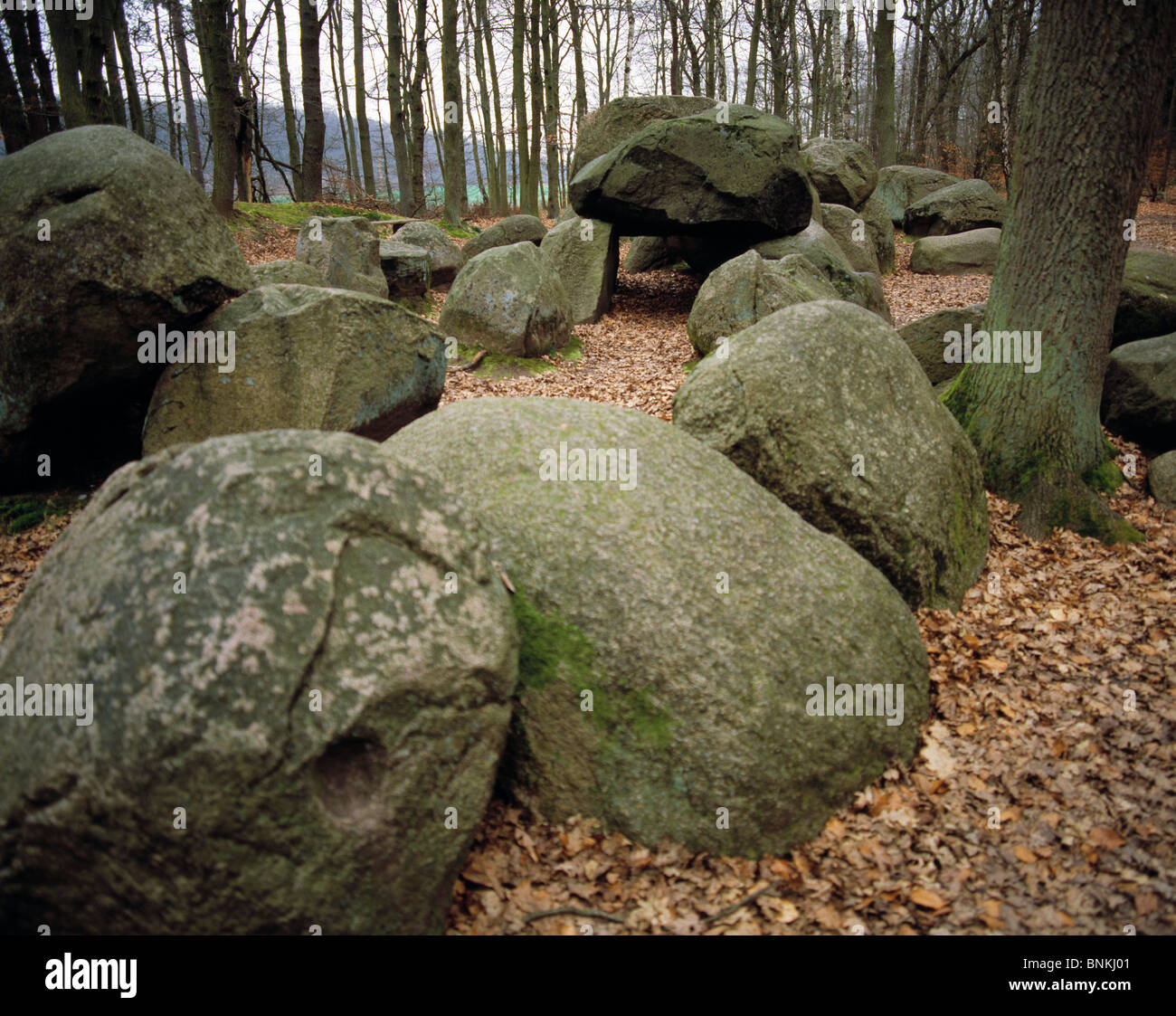 Lotte wersen hi-res stock photography and images - Alamy