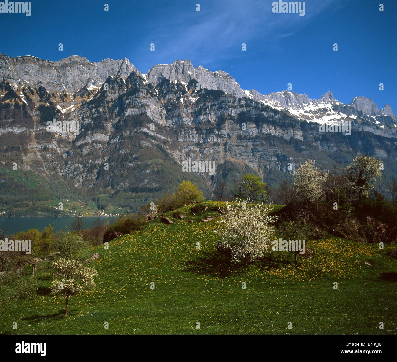 Switzerland scenery Walensee near Murg canton St. Gallen mountains lake ...