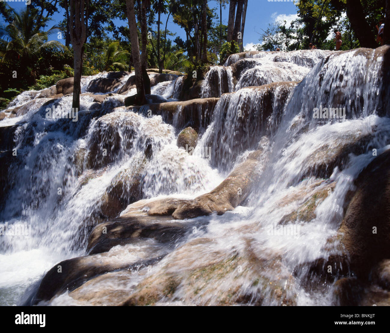 Jamaica waterfall water river flow waterfall Caribbean tropical Stock ...