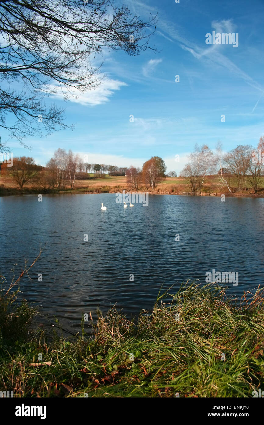 Fall scenery and blue sky Stock Photo - Alamy