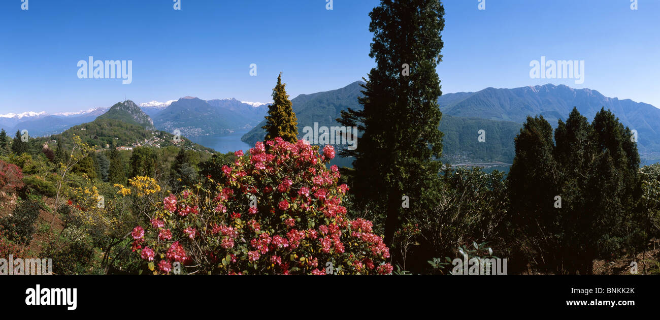Switzerland scenery Carona canton Ticino flowers trees mountains lake ...