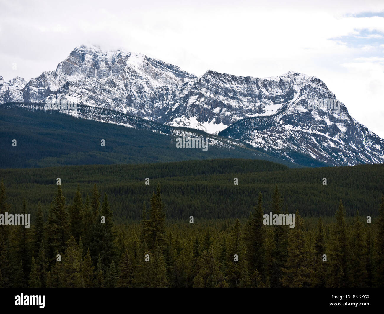 Storm Mountain 3095m with fresh snow Banff National Park Alberta Canada ...
