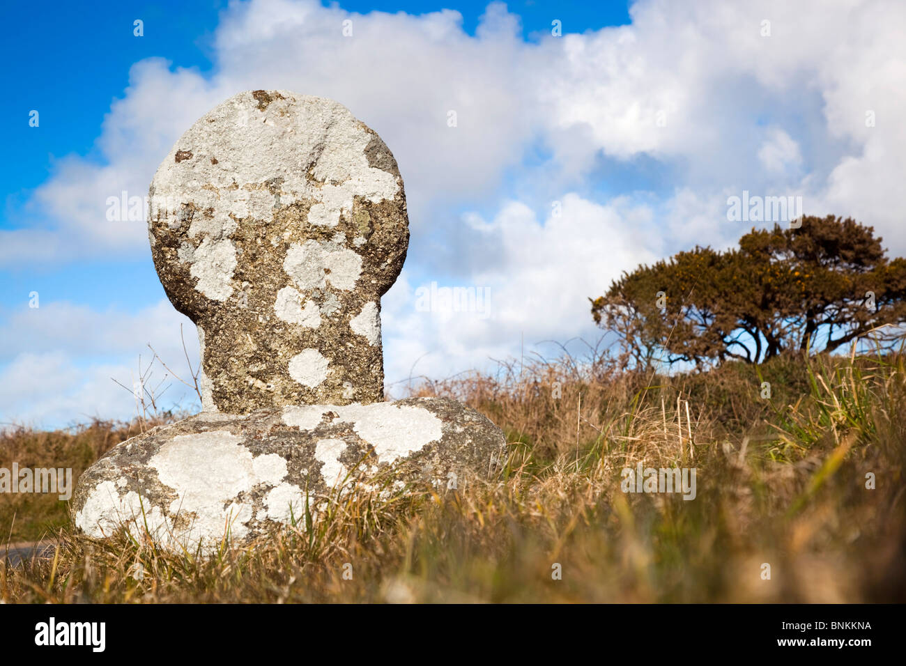 Crows an wra cross hi-res stock photography and images - Alamy