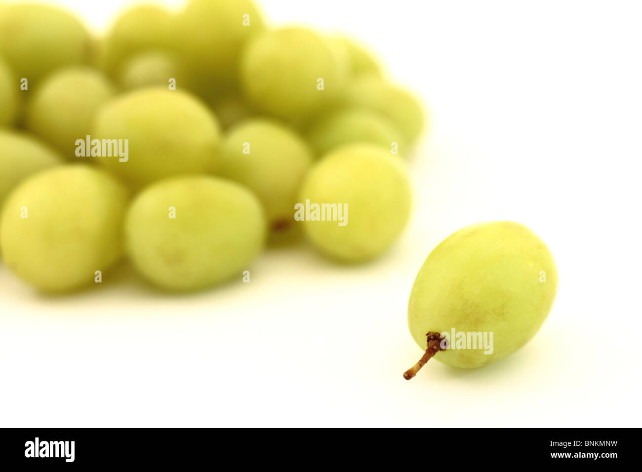 Single grape in focus with the rest of the grapes out of focus in the ...