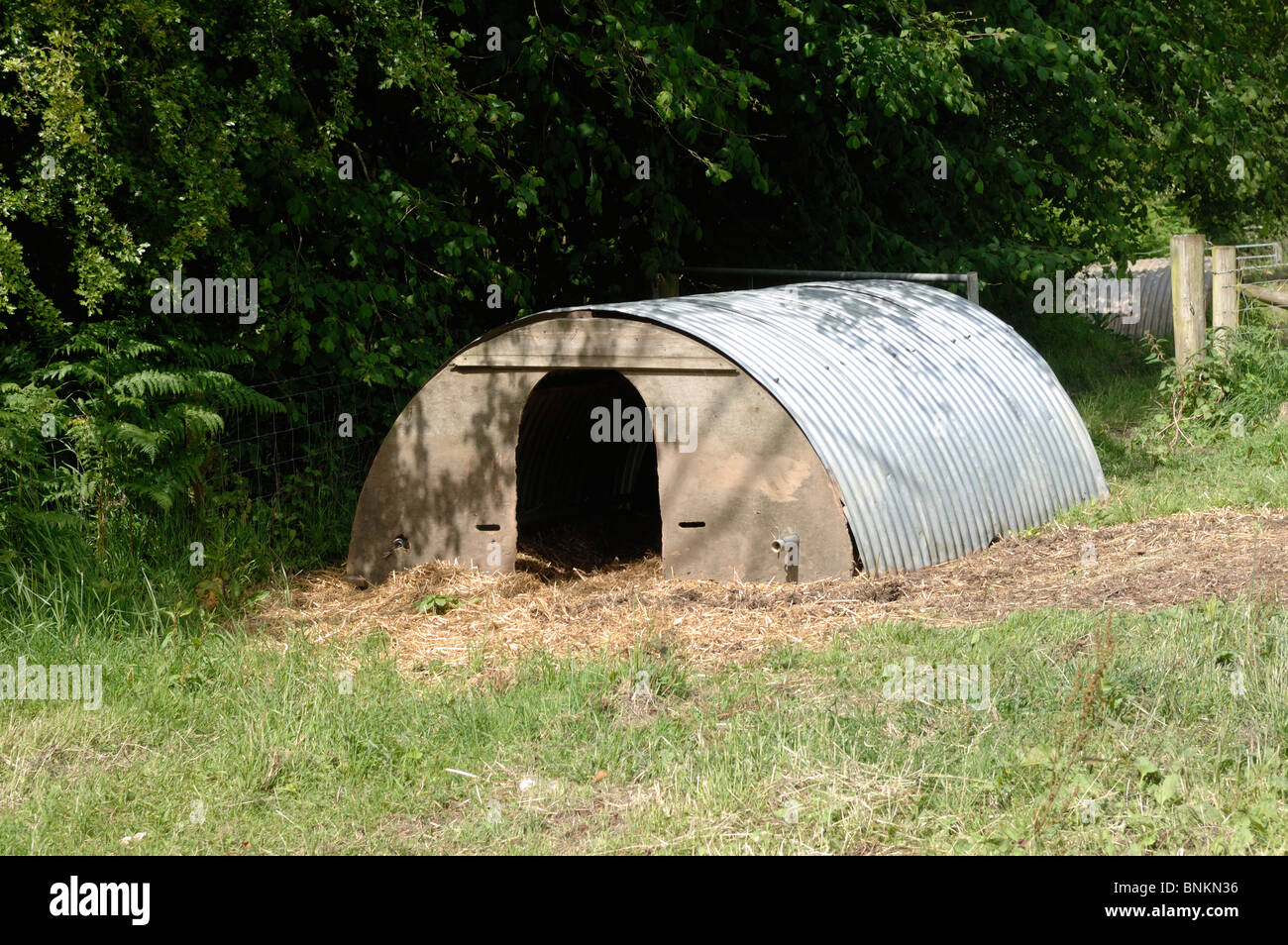 Single pig ark at the corner of a small field in Devon countryside ...