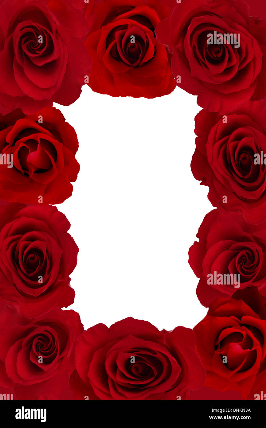 A frame of red roses with copy space Stock Photo - Alamy
