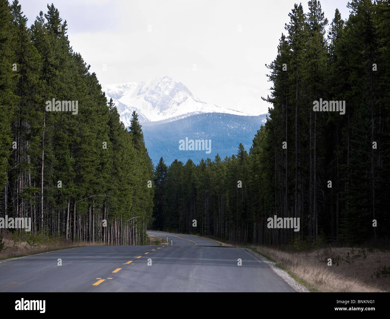 The Bow Valley Parkway scenic route 1A Banff National Park Alberta ...