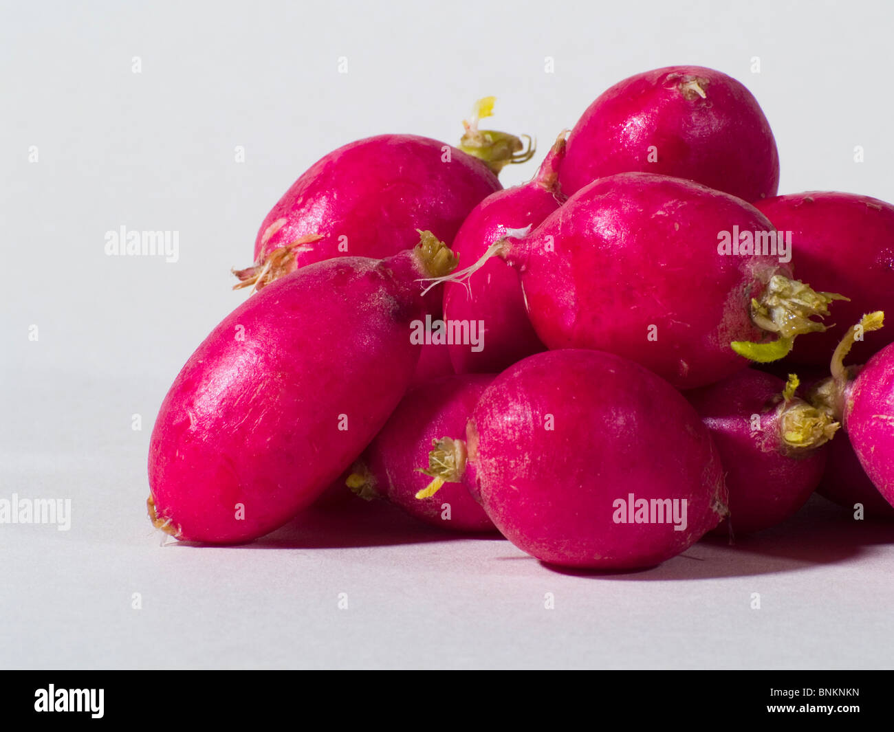 Pile of Pink Radishes Stock Photo - Alamy