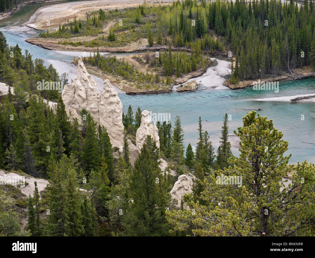 Hoodoo rock structures along the Bow River in Banff National Park Alberta Canada Stock Photo - Alamy