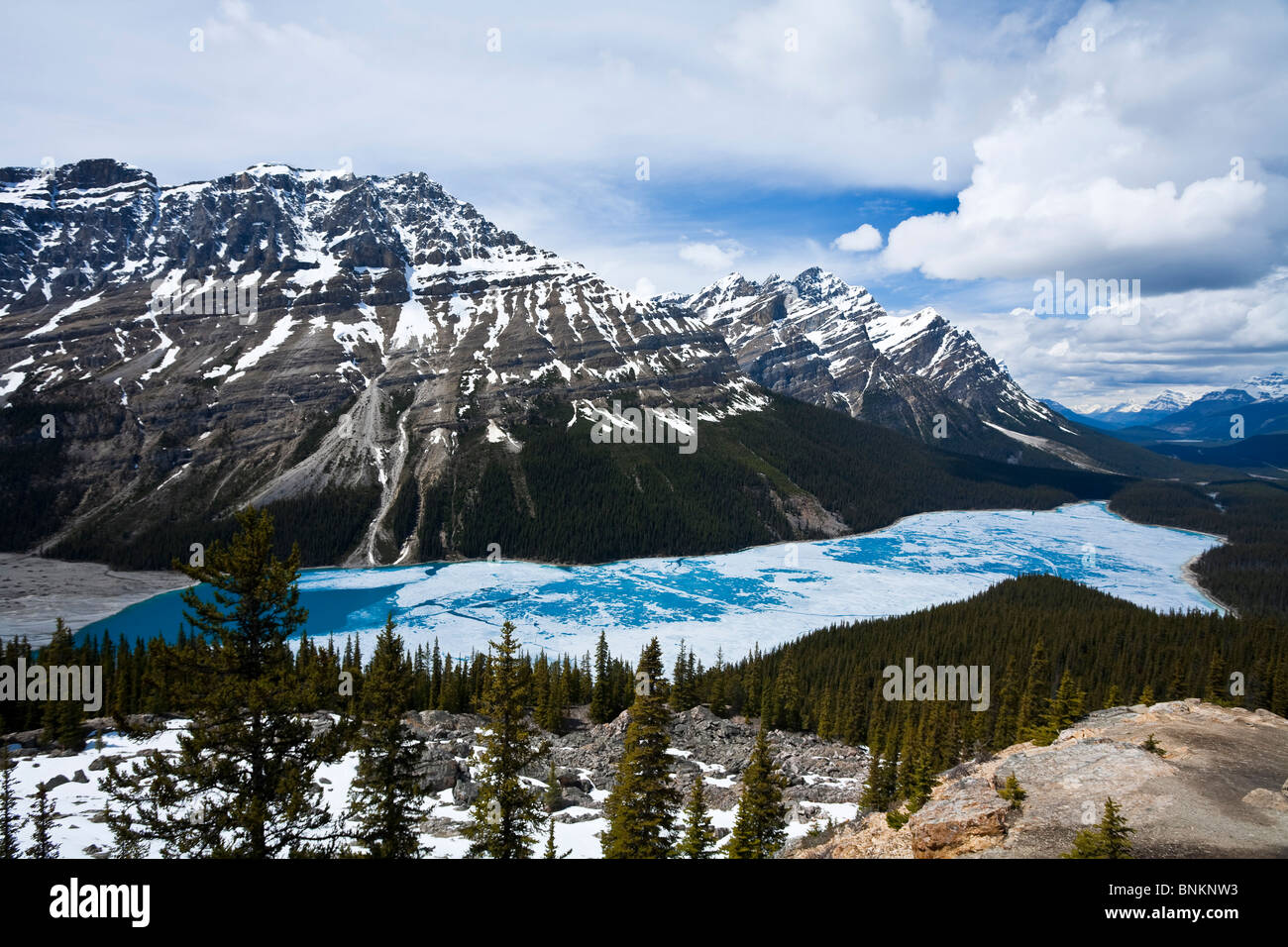 Partially frozen Peyto Lake named after Bill Peyto viewed from Bow ...