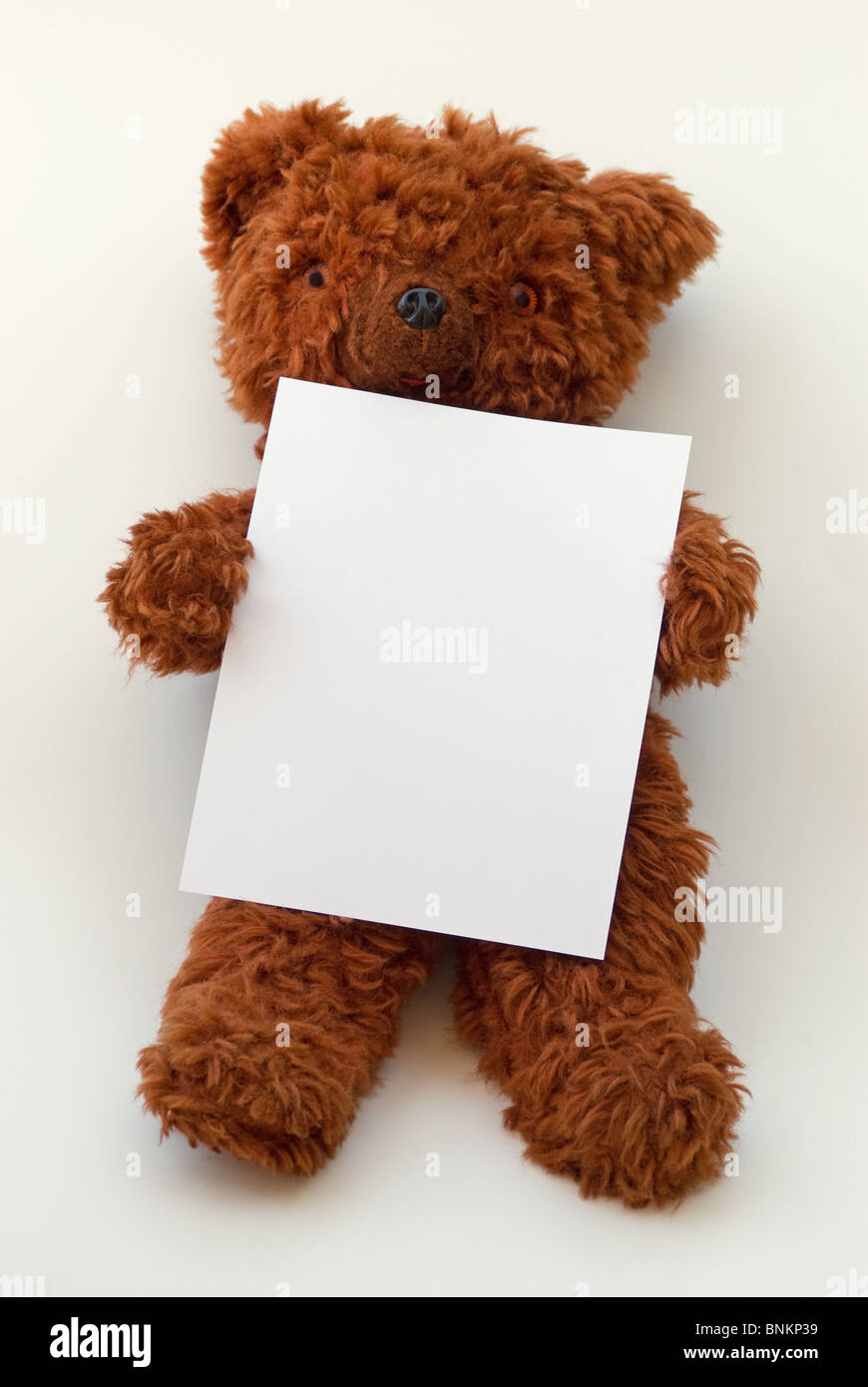 Teddy Bear Messagew Board