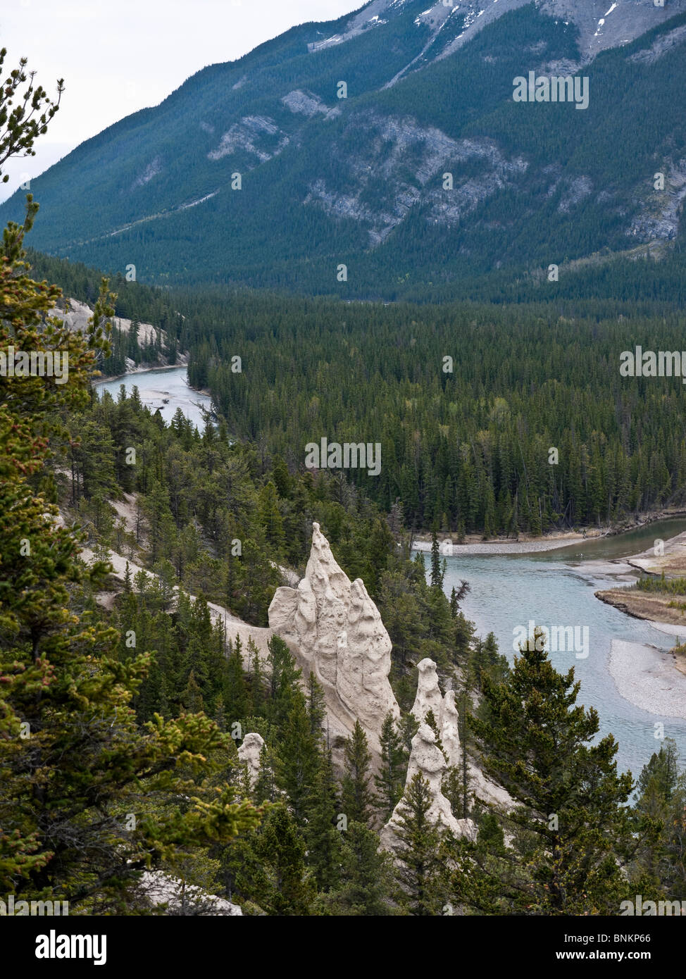 Hoodoo rock structures along the Bow River in Banff National Park ...