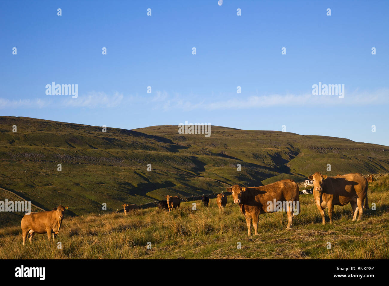 UK United Kingdom Great Britain Britain England Yorkshire Yorkshire ...