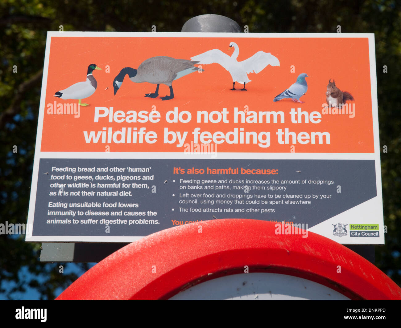 Geese warning sign hi-res stock photography and images - Alamy