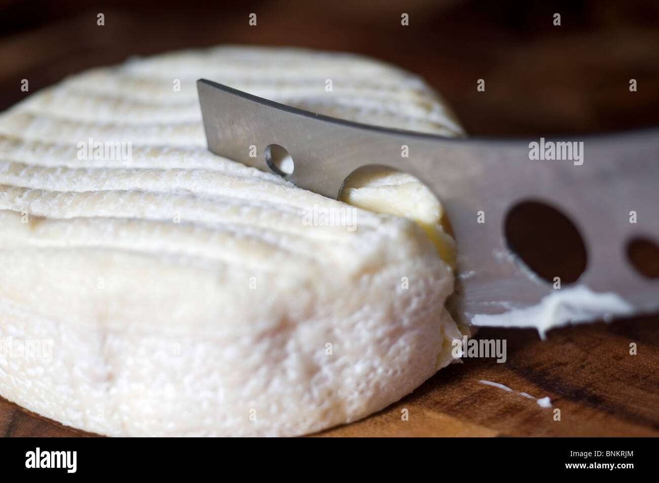 Cheese example hi-res stock photography and images - Alamy