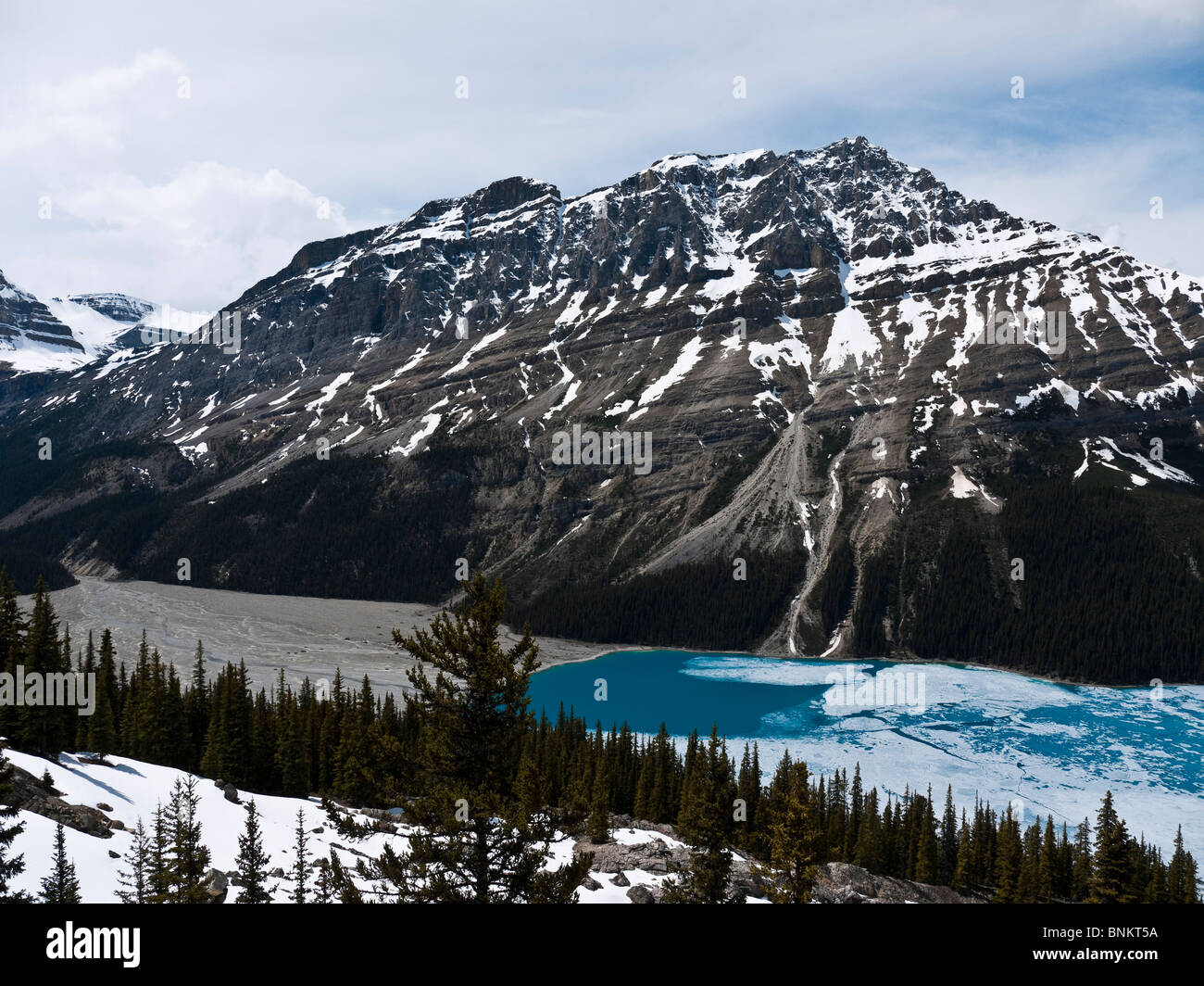 Partially frozen Peyto Lake named after Bill Peyto viewed from Bow ...