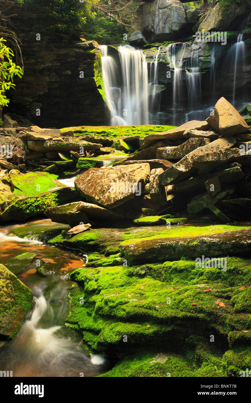 Elakala Falls in Blackwater Falls State Park, Davis, West Virginia, USA ...